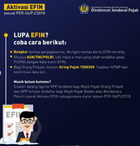 Lupa EFIN Pajak, Apa Solusinya?